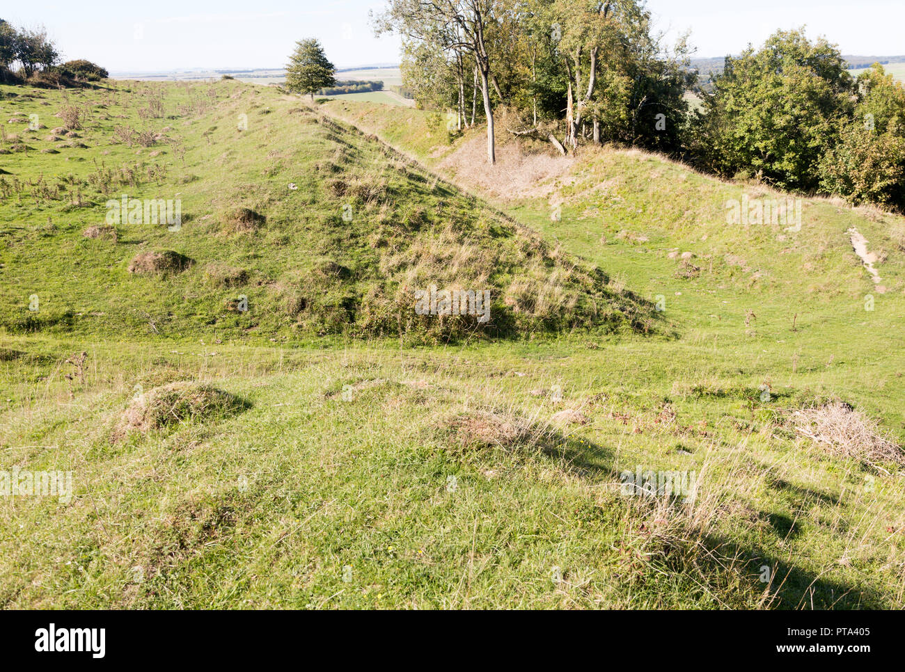 Sidbury Camp or Sidbury Hill Iron Age hill fort, Haxton Down, near ...