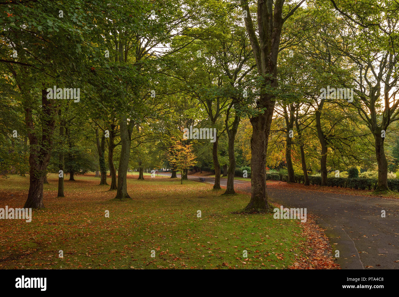 Wonderful Autumnal colours in Lister Park, Bradford, home of the ...