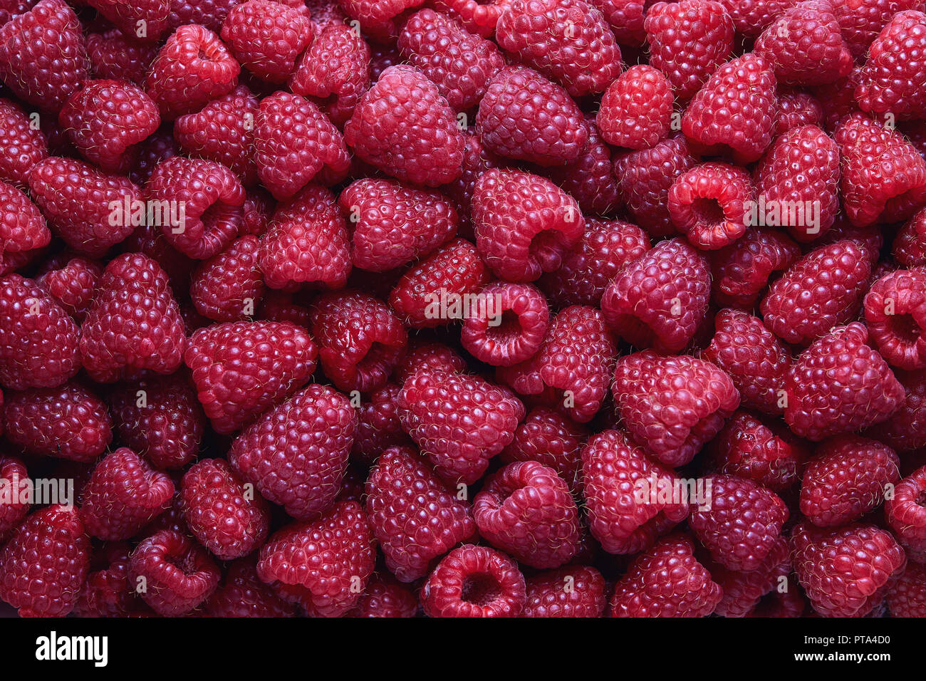 Fresh backgrounds hi-res stock photography and images - Alamy