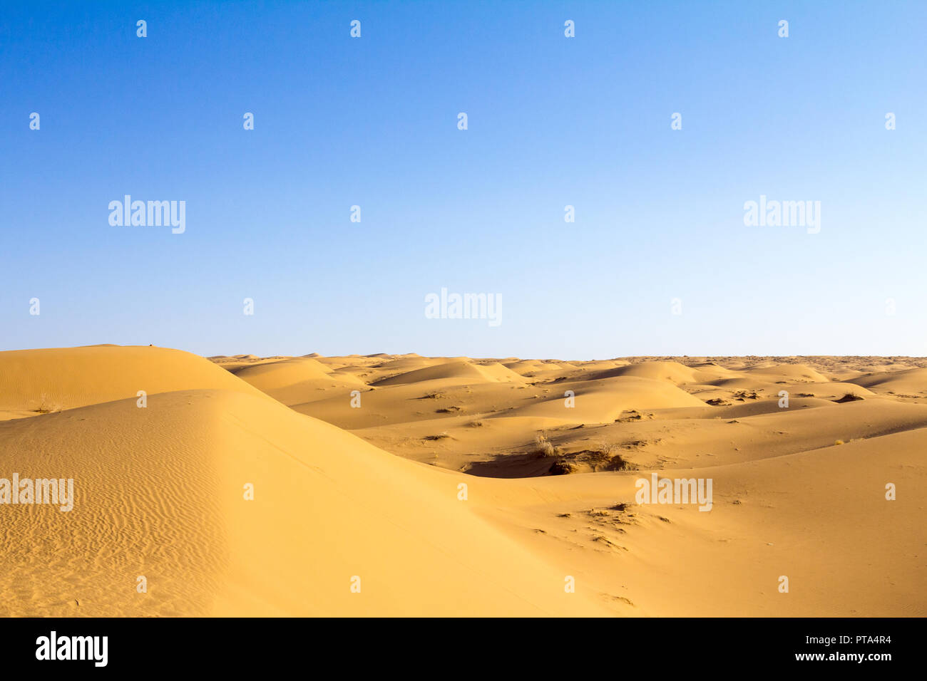 Sand dunes in the Maranjab desert, near Kashan, Iran, at sunset during ...