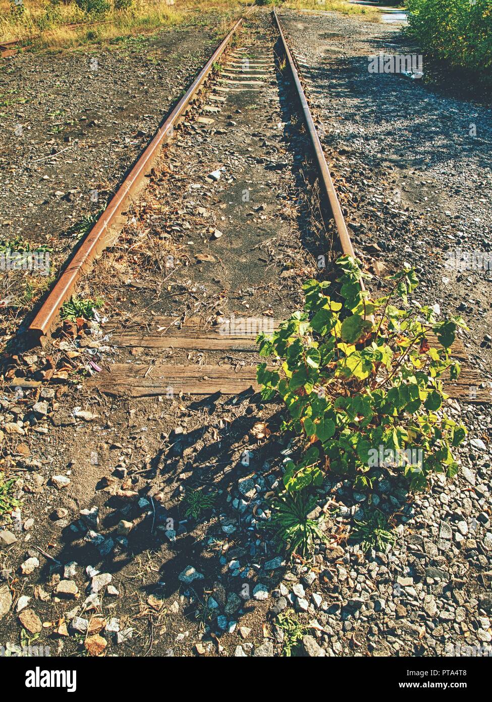 Old rusty rails in abandoned railway station. Rusty train railway ...