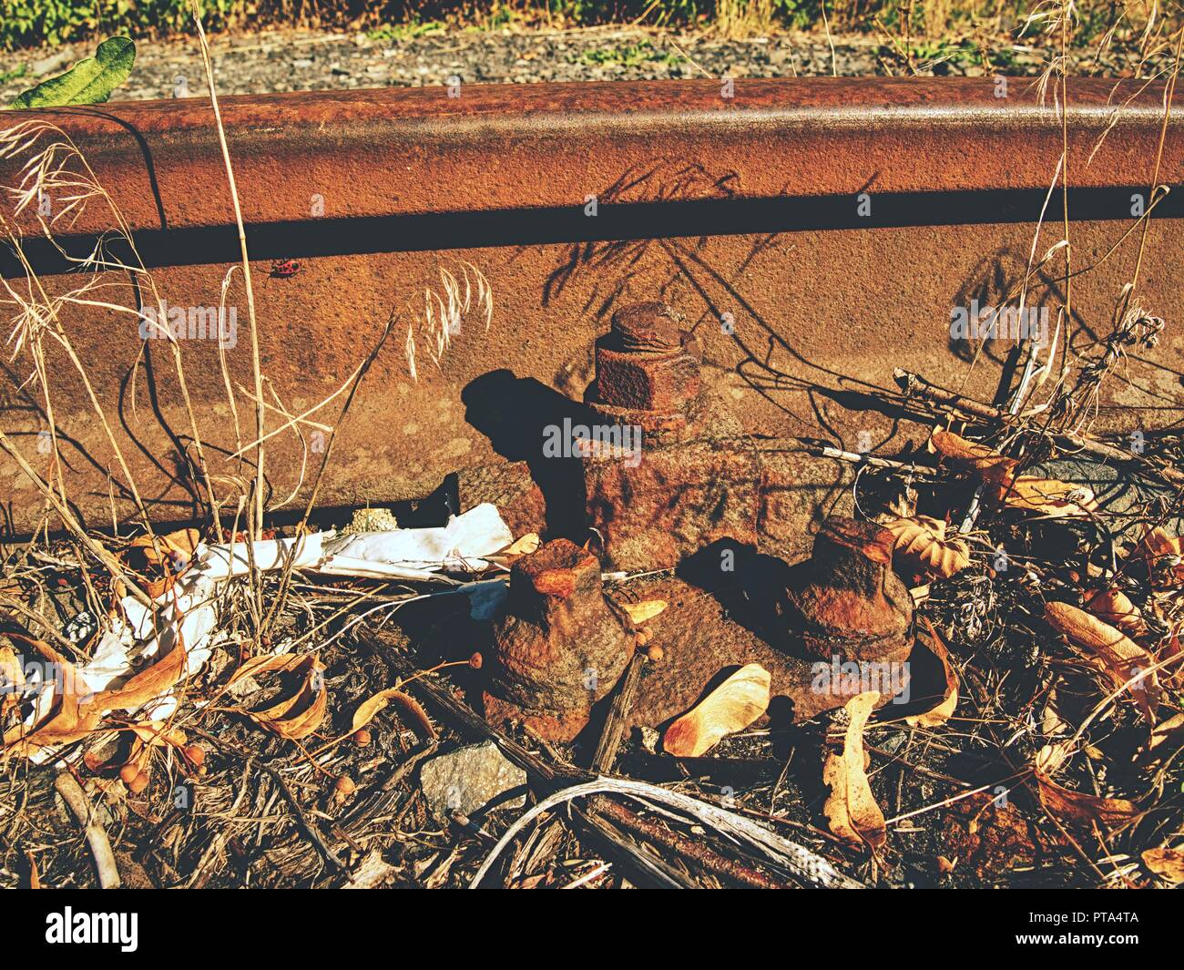 Detail of rusty screws and nut on old railroad track. Rotten wooden tie ...