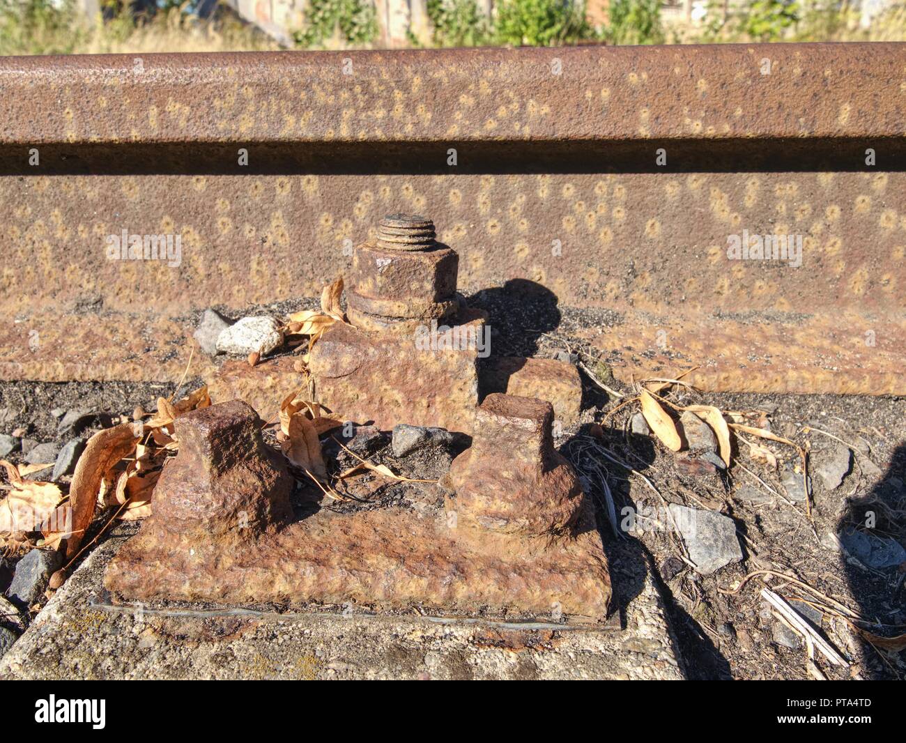 Detail of rusty screws and nut on old railroad track. Rotten tie with ...