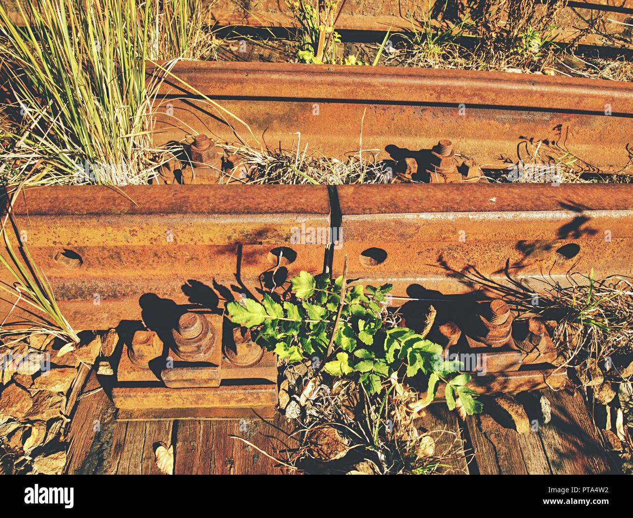 Close view of railroad track old fashioned rusty clamps and screws ...