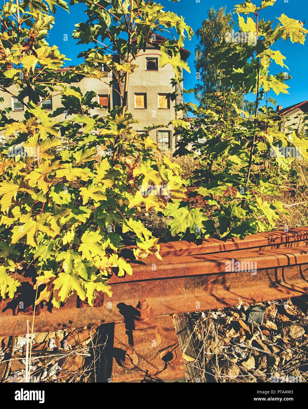 Rotten railroad carriage hi-res stock photography and images - Alamy