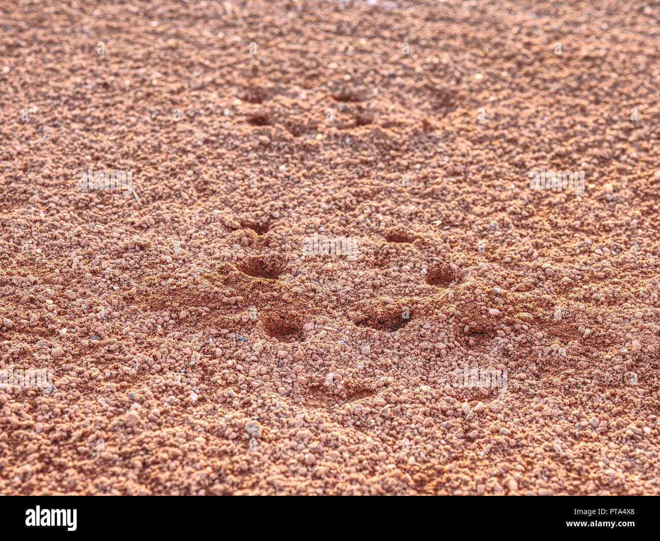 Sport shoe footprint on a tennis clay court. Dry light red crushed ...