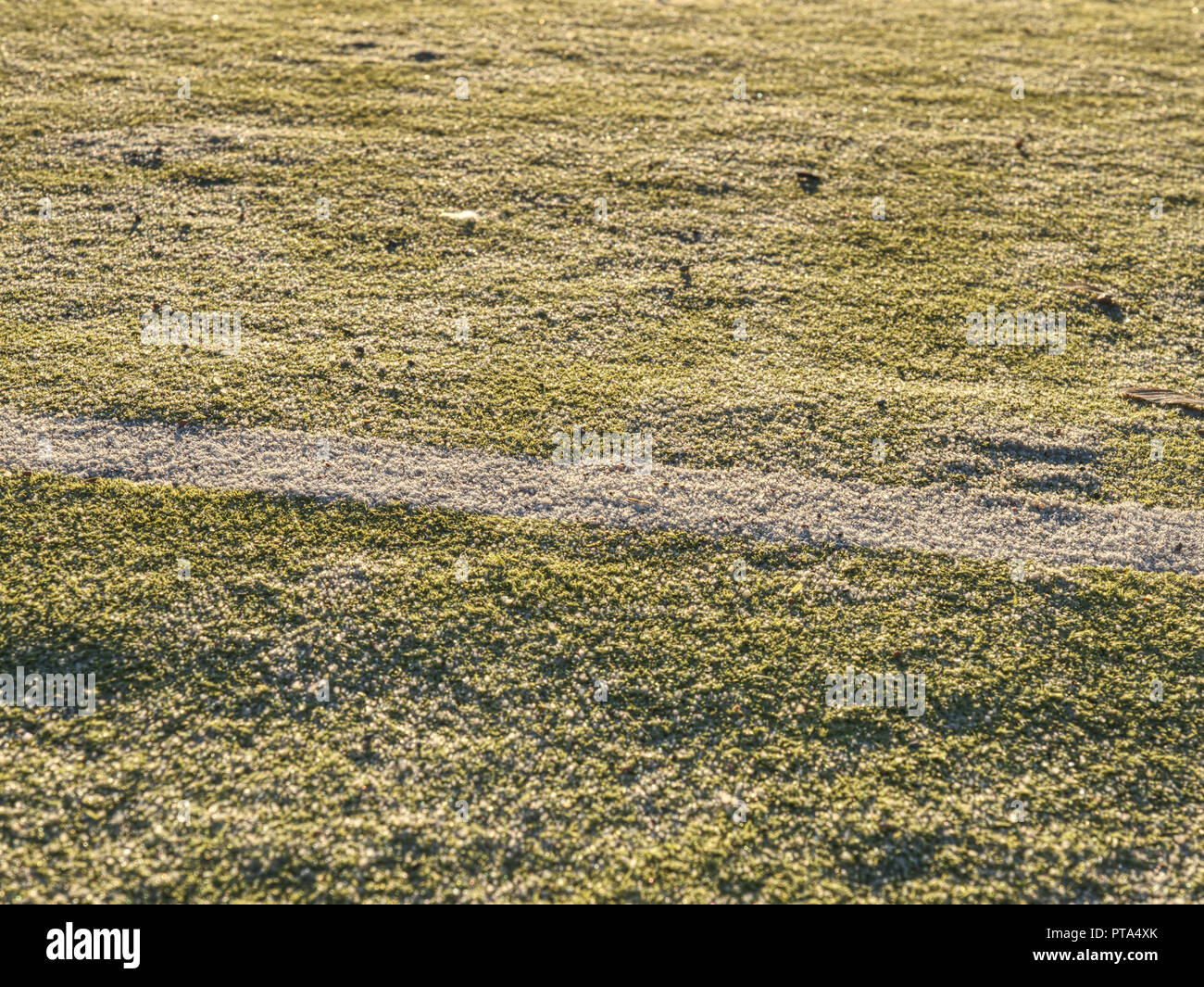 Line of empty green soccer field in the stadium. The artificial turf ...
