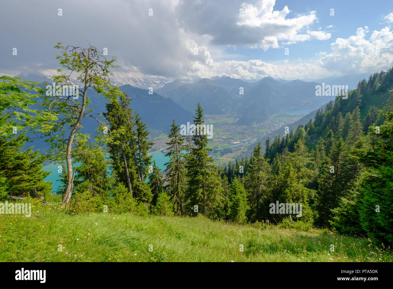 Aerial view interlaken lake thun hi-res stock photography and images ...