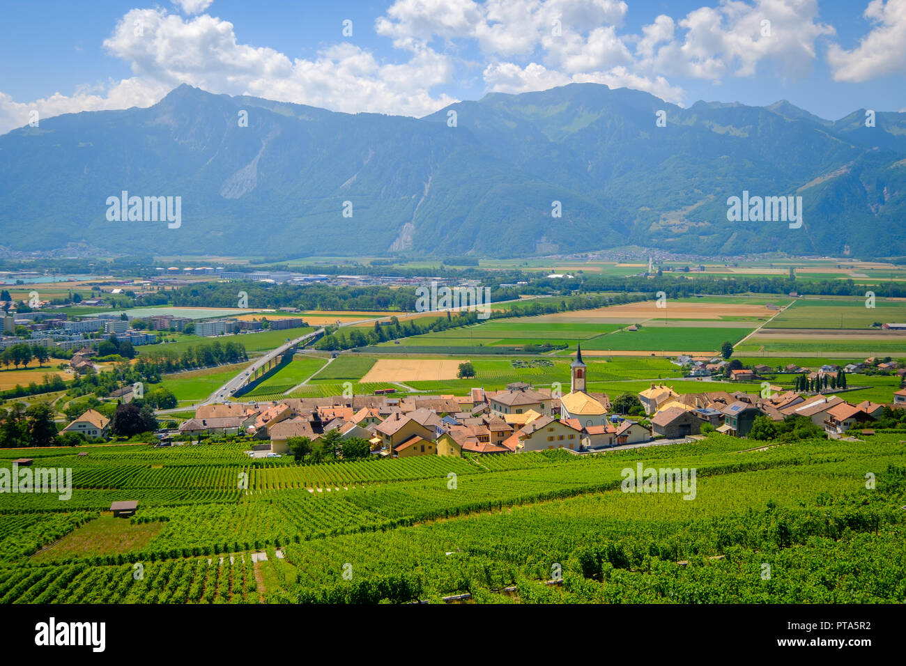 Summer Switzerland valley landscape with vineyards at foreground Stock ...