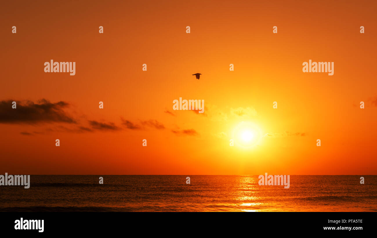 Amazing sea waves hi-res stock photography and images - Alamy