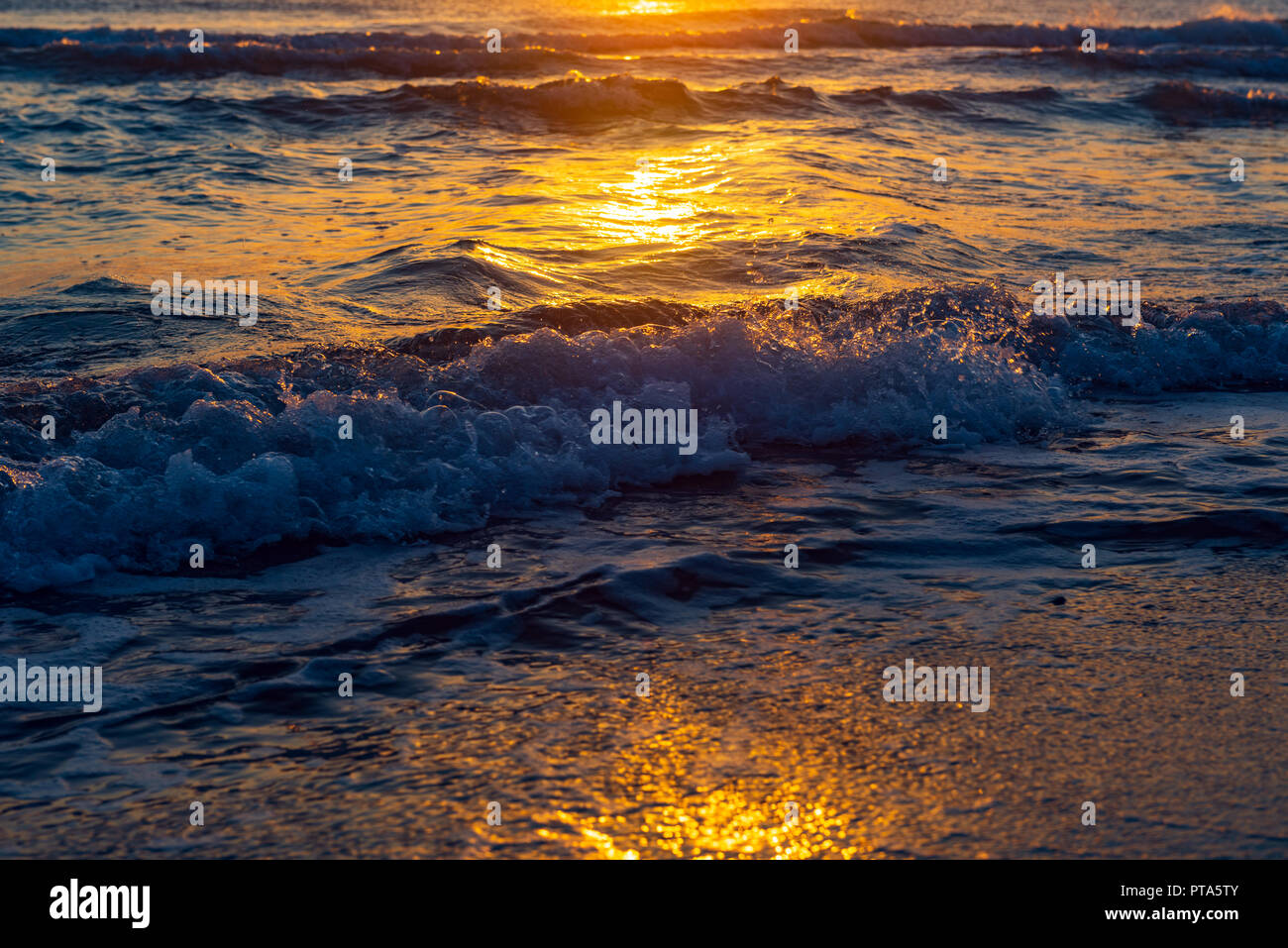Early summer morn hi-res stock photography and images - Alamy