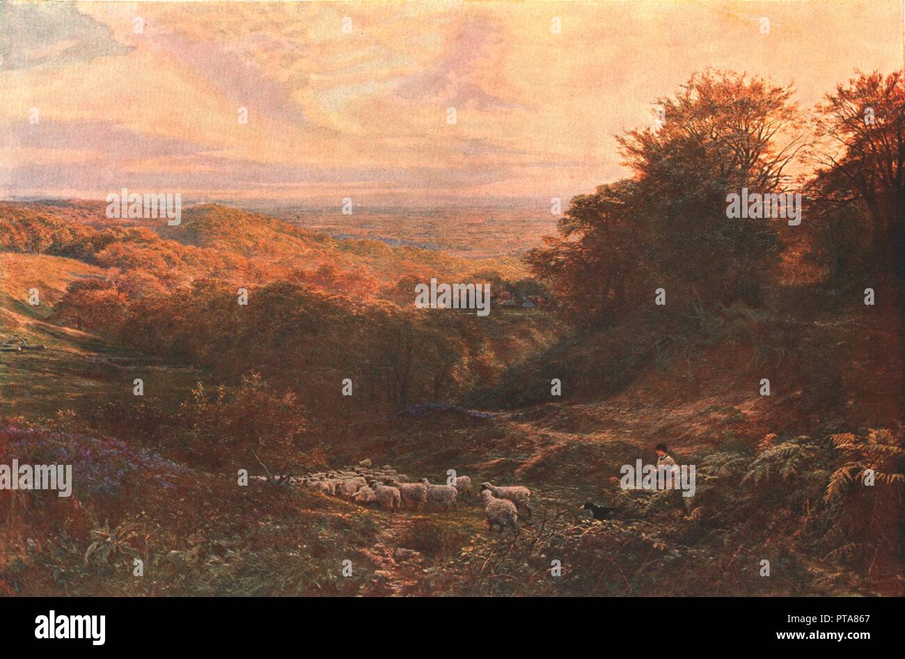 'The Heart of Surrey', 1874, (c1902). Creator: Unknown Stock Photo - Alamy