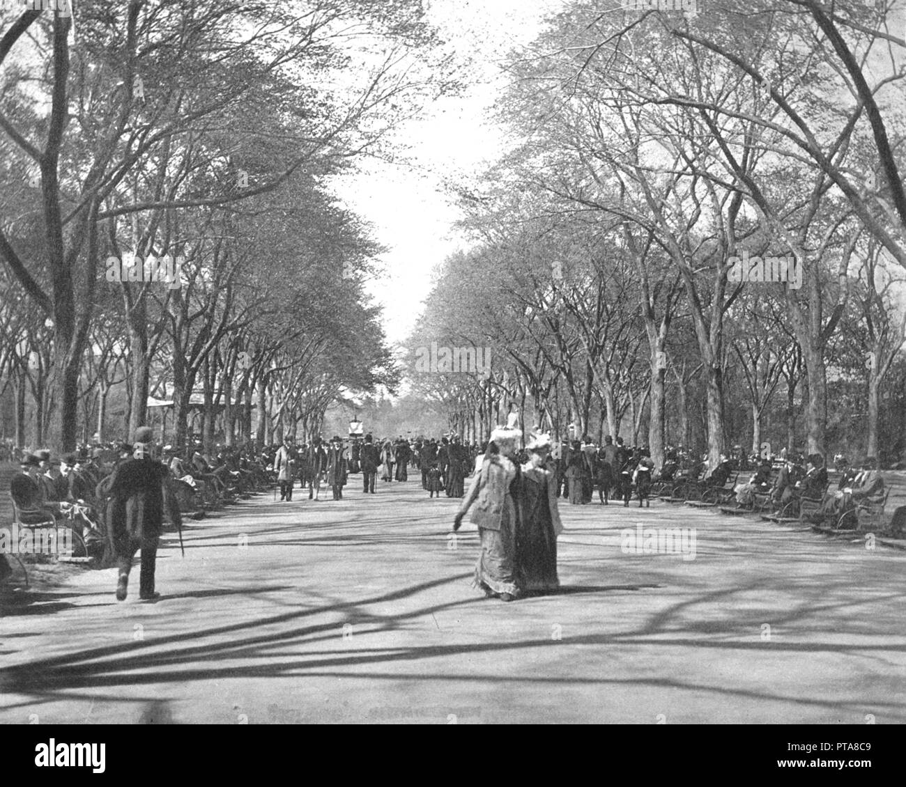 New york 1900s street hi-res stock photography and images - Alamy