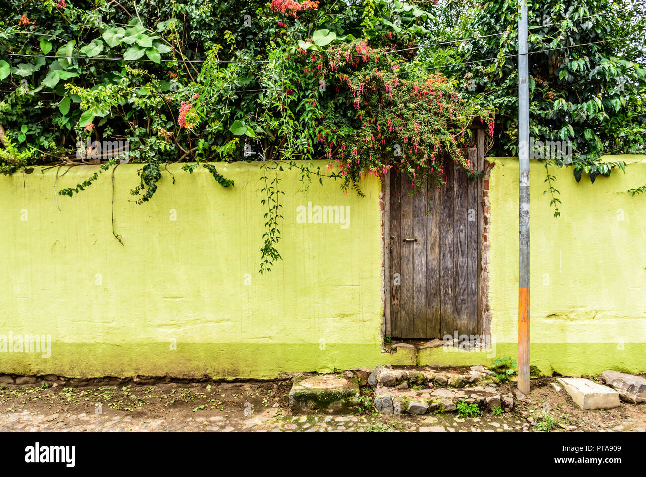 Simple yellow wooden door hi-res stock photography and images - Alamy