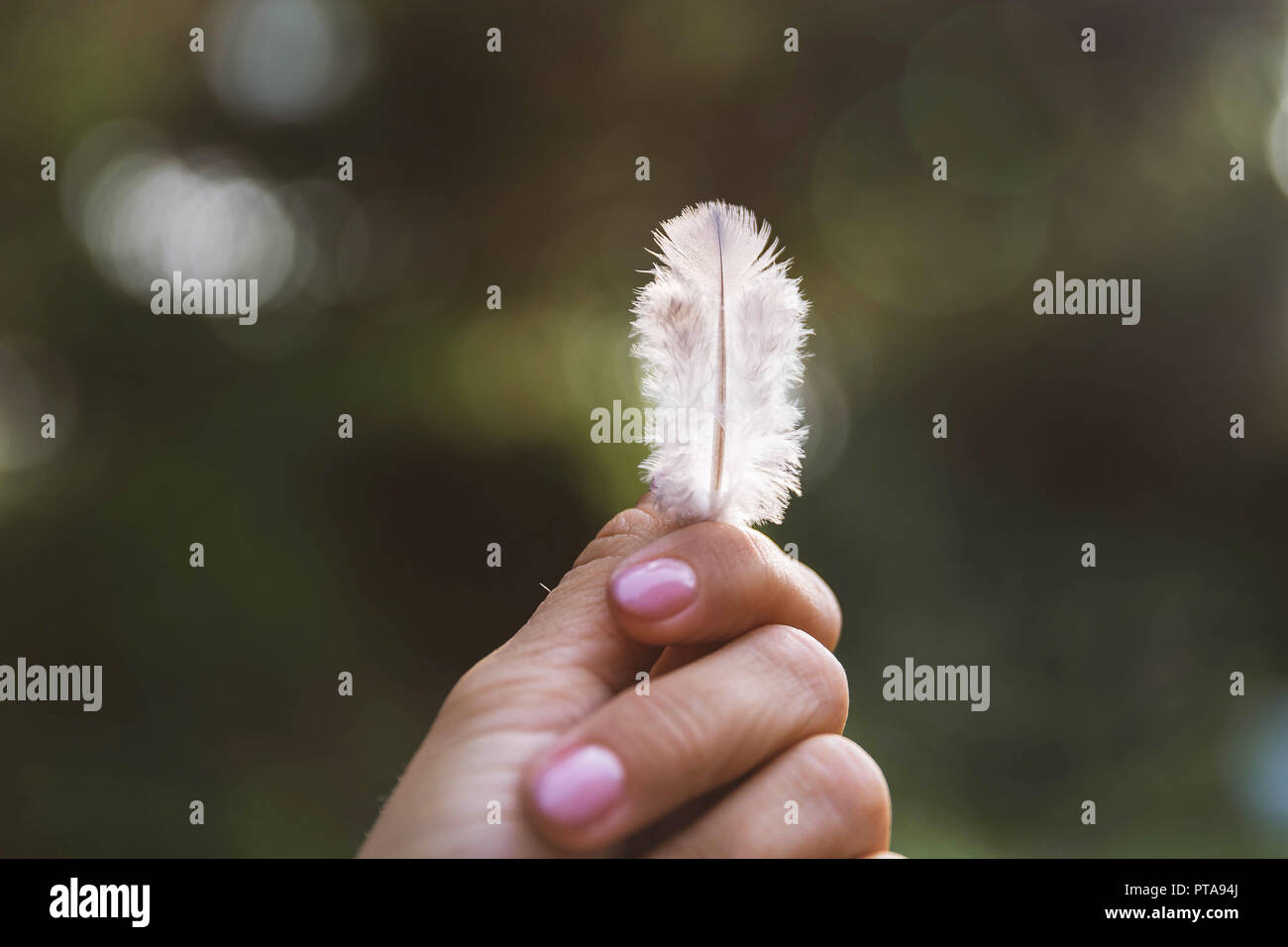 White beautiful feather in woman's hands Stock Photo - Alamy