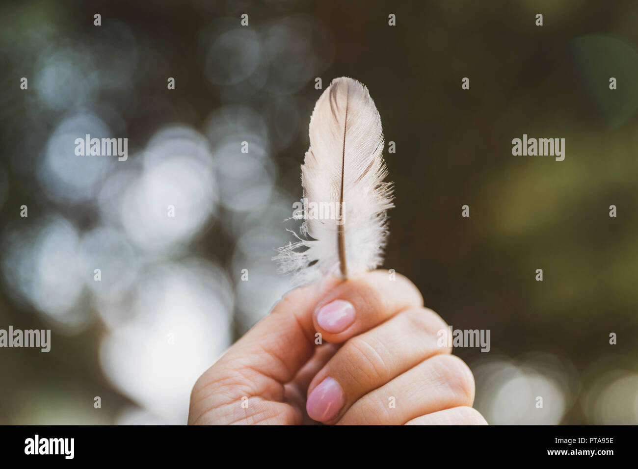 White beautiful feather in woman's hands Stock Photo - Alamy