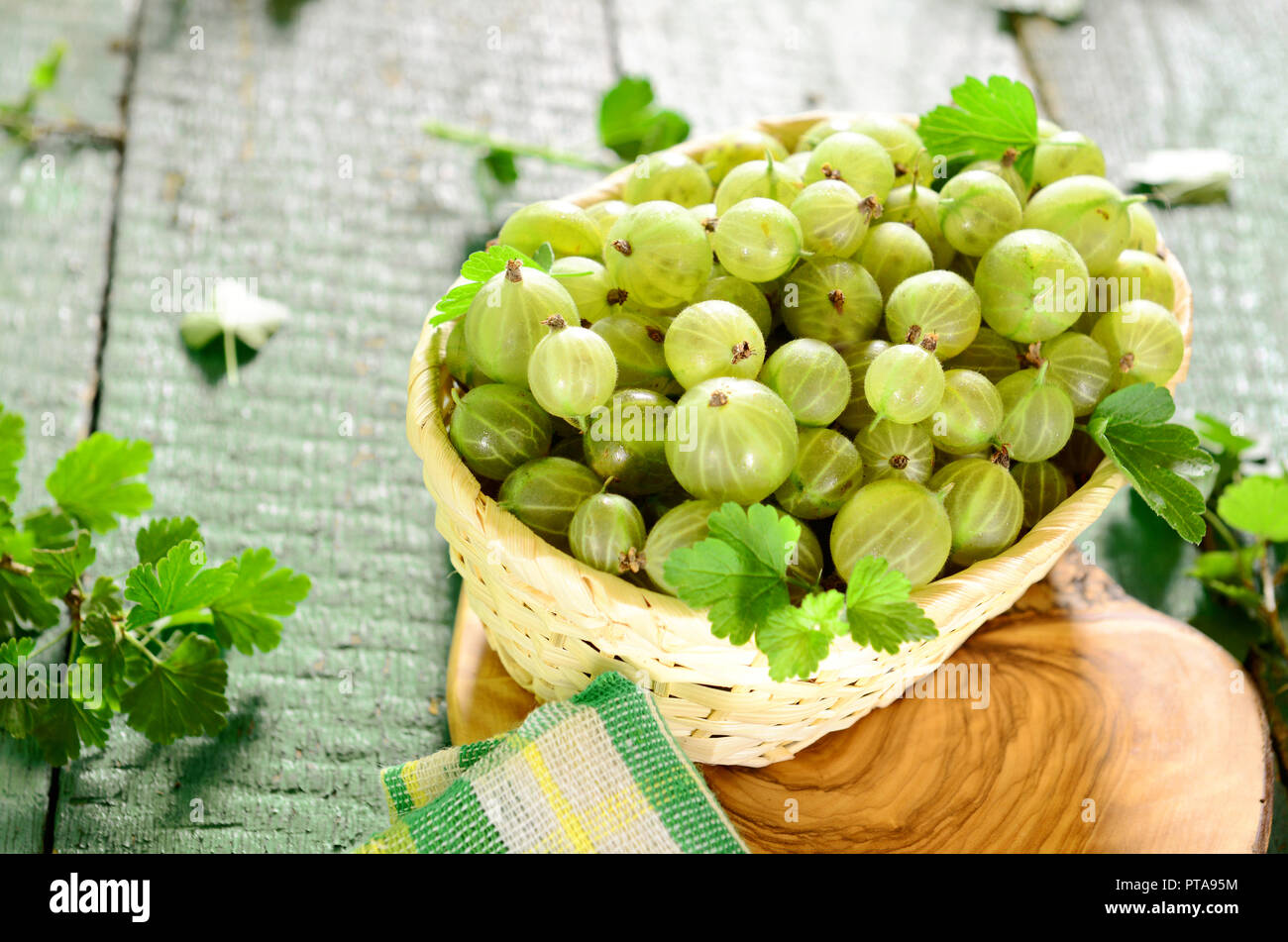 Basket of fresh gooseberries Stock Photo - Alamy