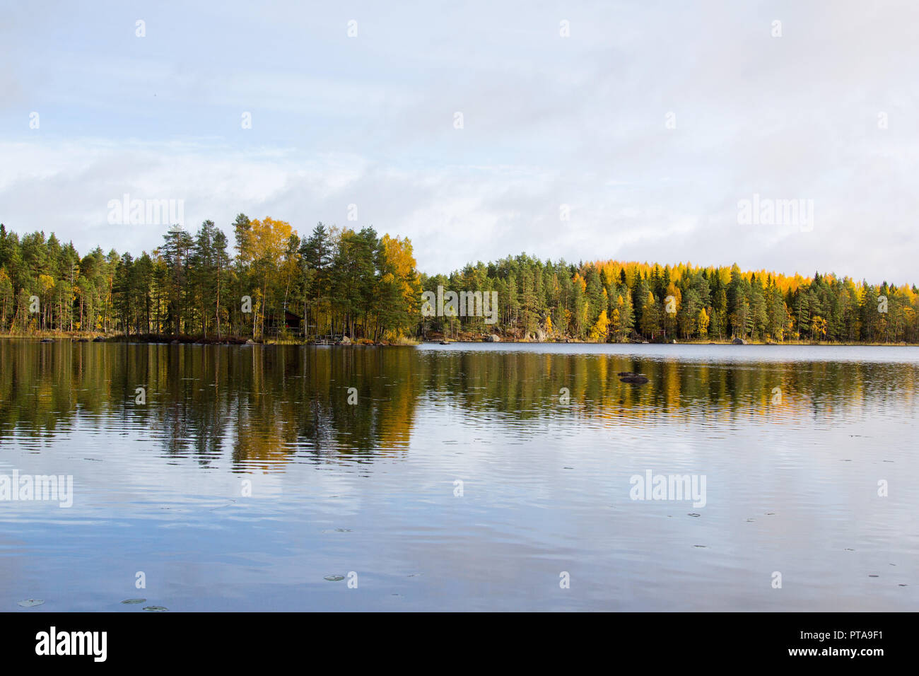 Beautiful autumn in finland hi-res stock photography and images - Alamy