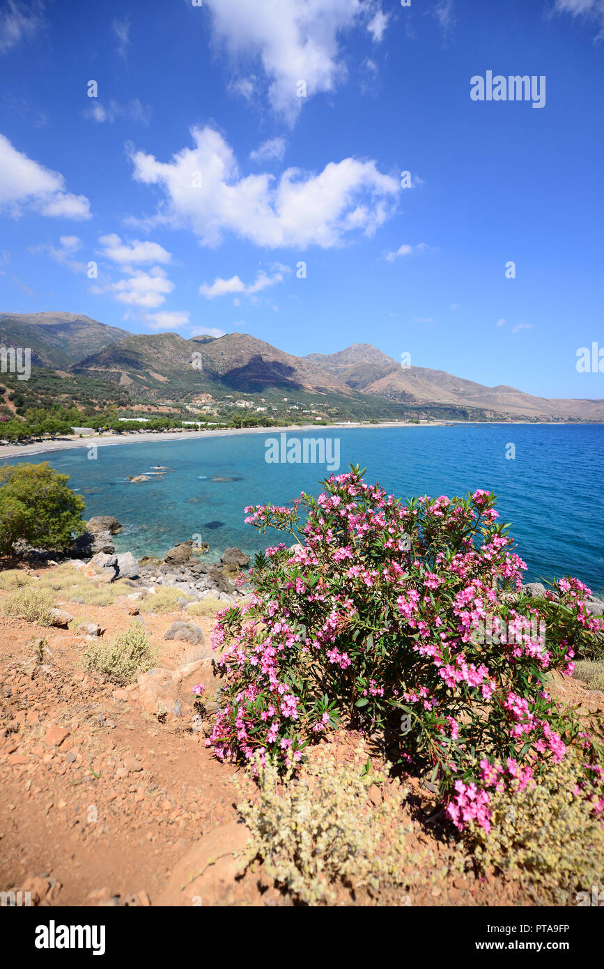 Typical landscape of mediterranean countries Stock Photo - Alamy