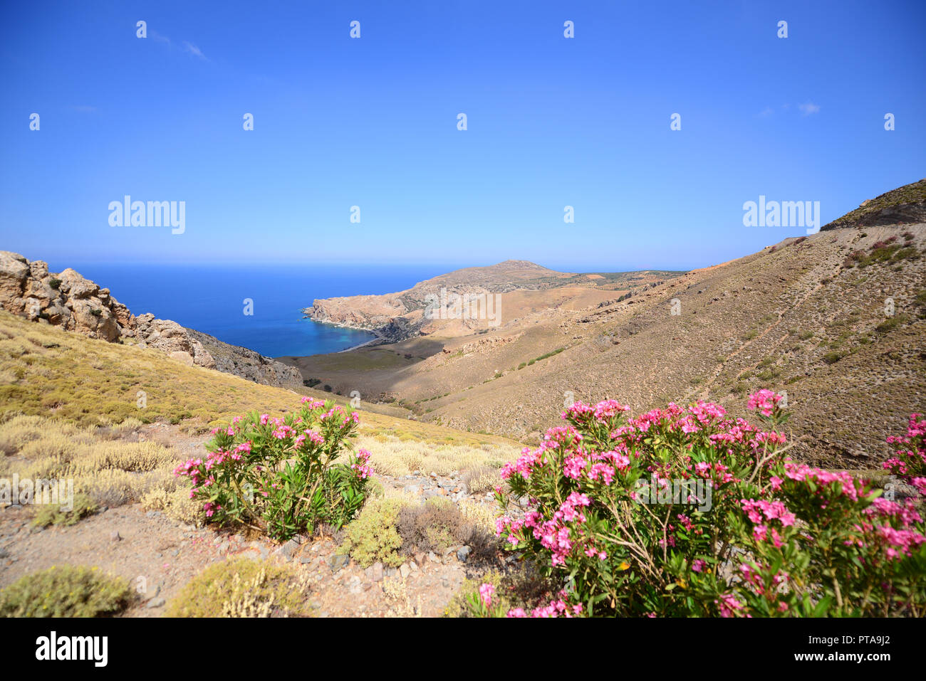 Typical landscape of mediterranean countries Stock Photo - Alamy