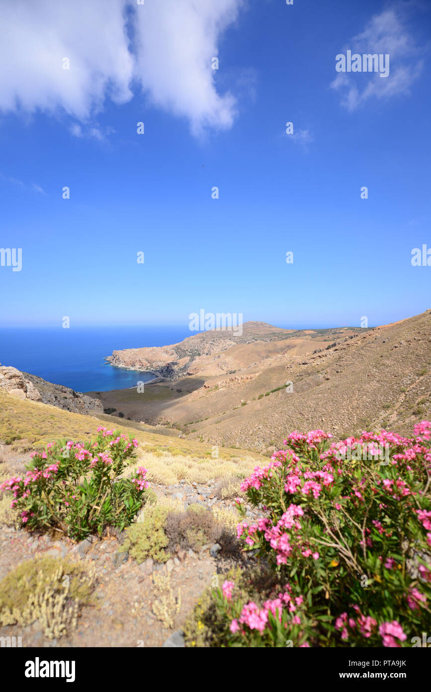Typical landscape of mediterranean countries Stock Photo - Alamy