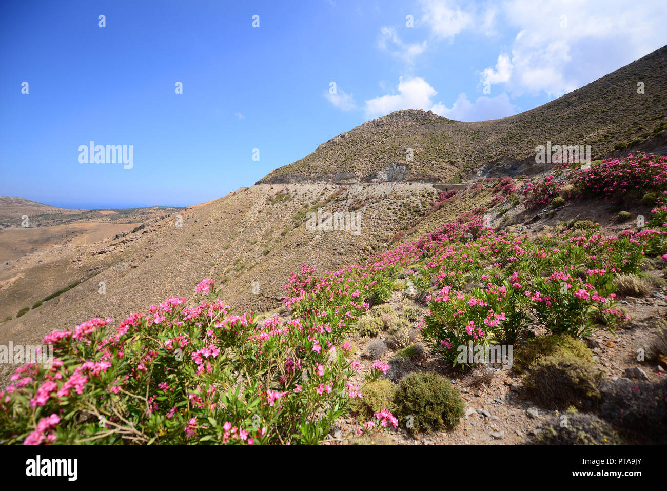 Typical landscape of mediterranean countries Stock Photo - Alamy