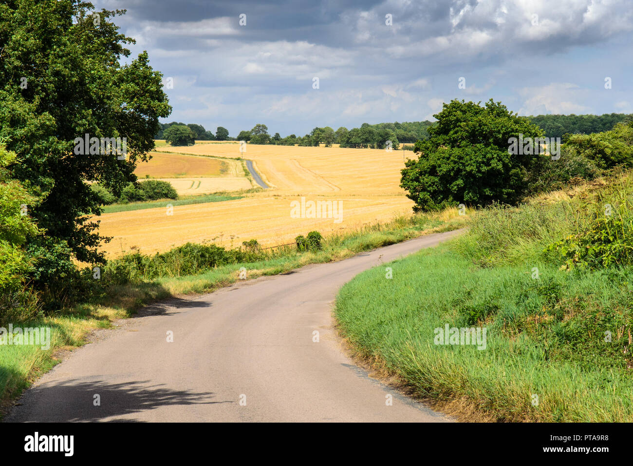 A narrow country lane winds through fields of wheat and pasture near ...