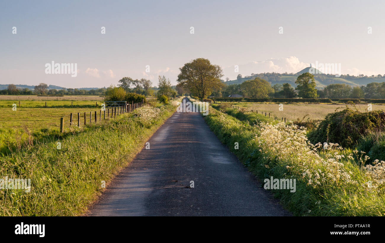 English country lane in spring hi-res stock photography and images - Alamy
