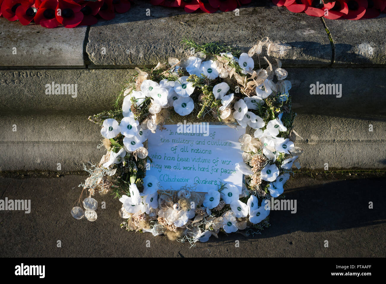White peace poppy hi-res stock photography and images - Alamy