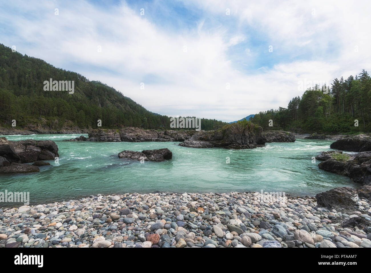 Katun river, in the Altai mountains Stock Photo - Alamy
