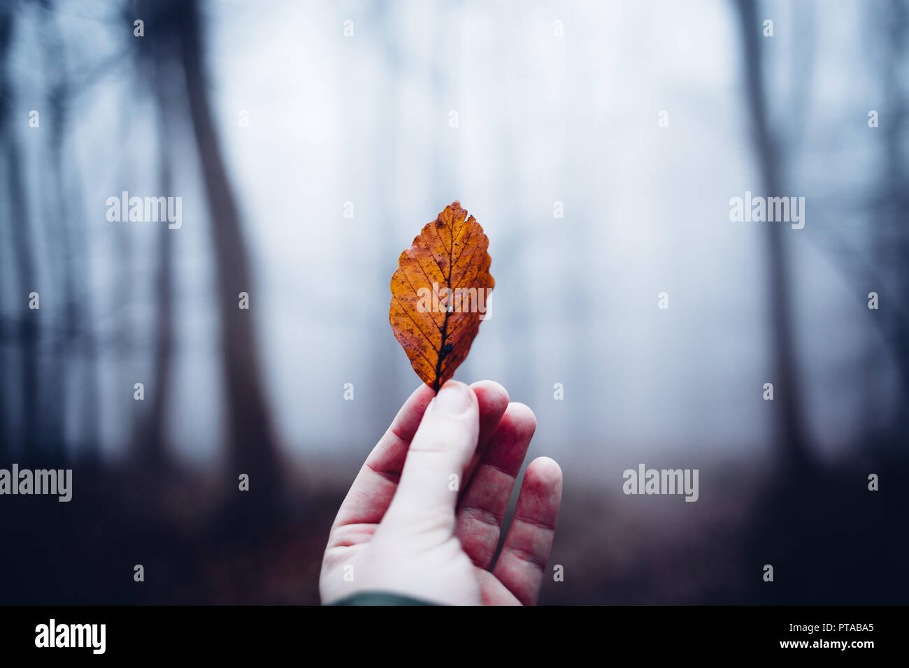 Man holding a glowing paper sheet in the Hand Stock Photo - Alamy