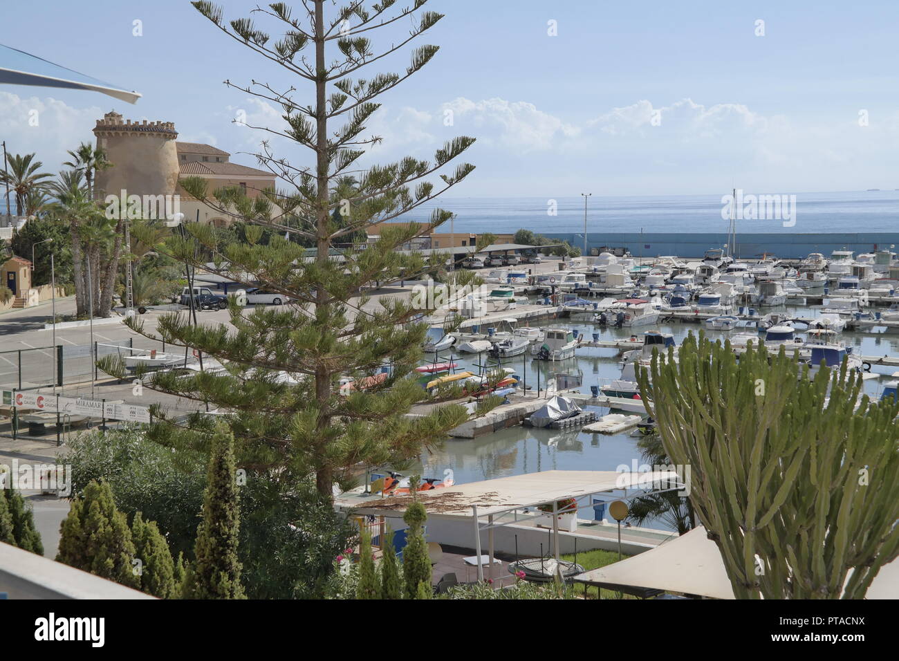 Torre de cactus hi-res stock photography and images - Alamy