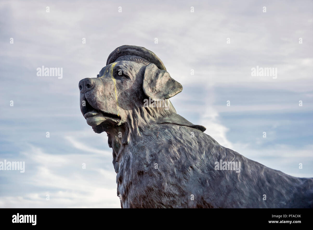 Statue of BAMSE, an heroic Norwegian World War Two sea dog Stock Photo ...