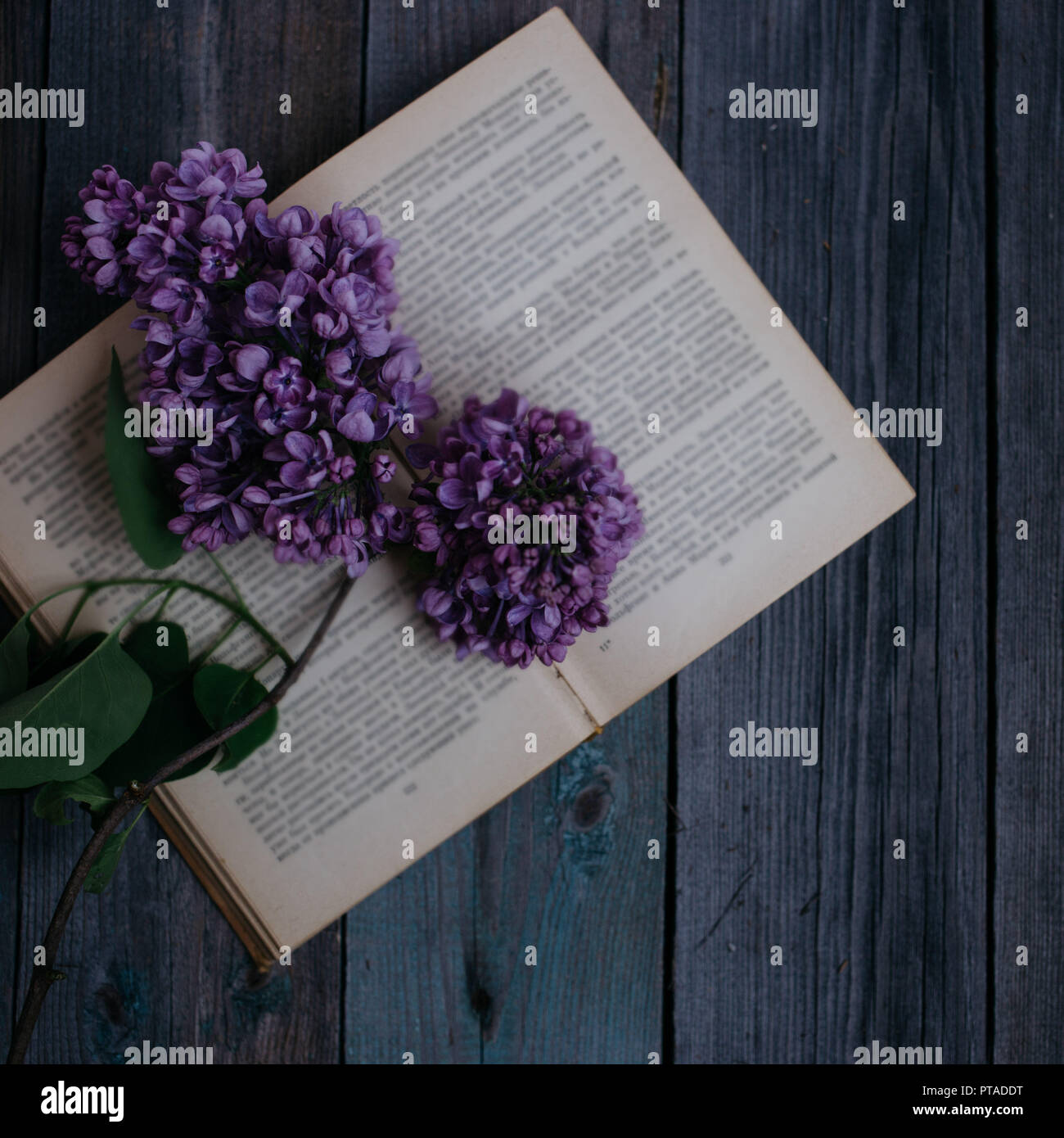 branch of lilac, on the opened book on a wooden table Stock Photo - Alamy