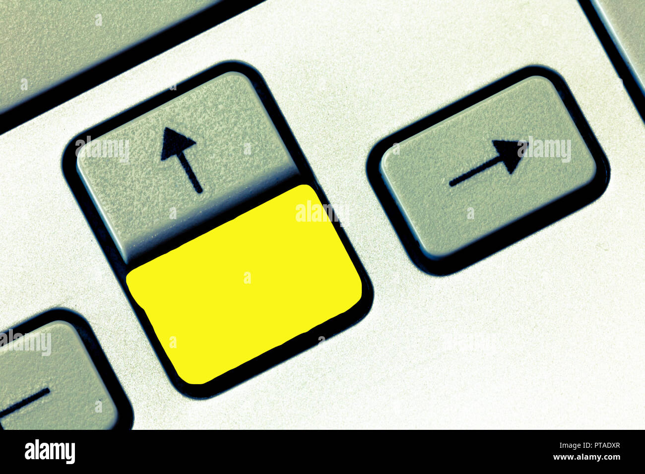 Business concept Empty template copy space isolated Posters coupons ...