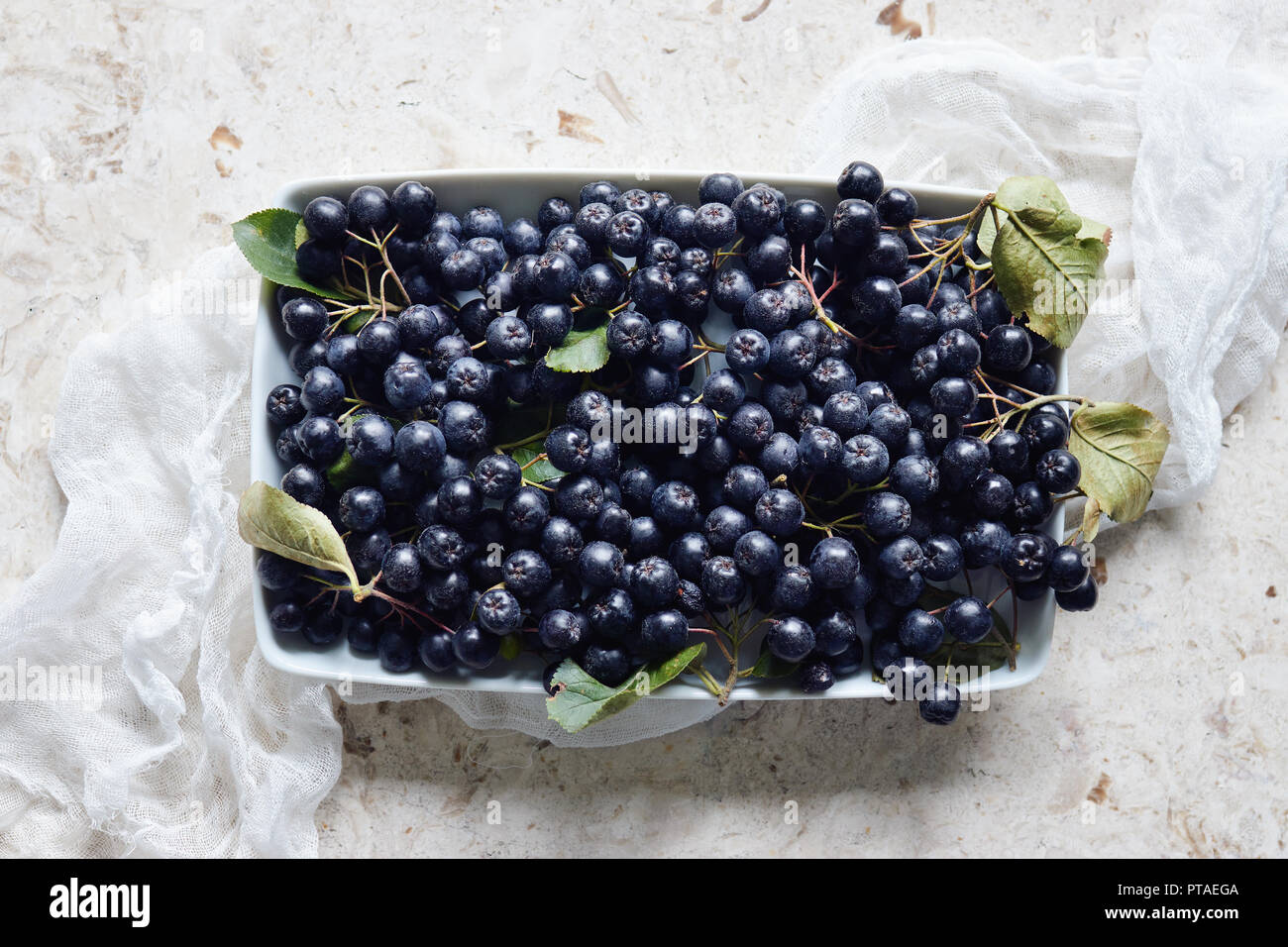 Aronia Melanocarpa Black Chokeberry Fruit Food Fruits High Resolution ...