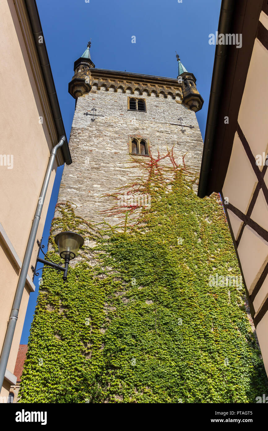 Church tower with colorful ivy in Warendorf, Germany Stock Photo - Alamy