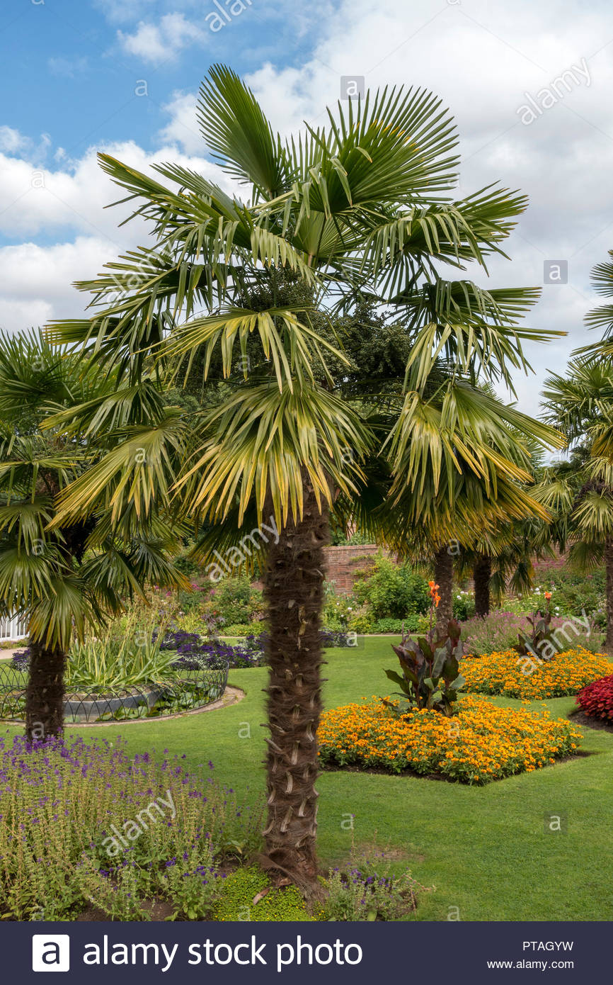 Uk Garden Trees Lawn High Resolution Stock Photography and Images - Alamy