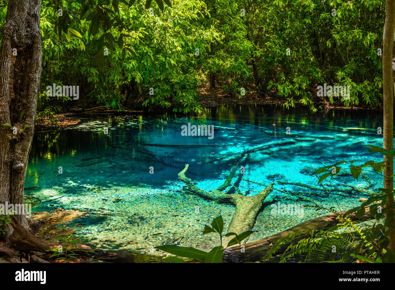 Emerald Pool, Yosemite National Park, Krabi Thailand Stock Photo - Alamy