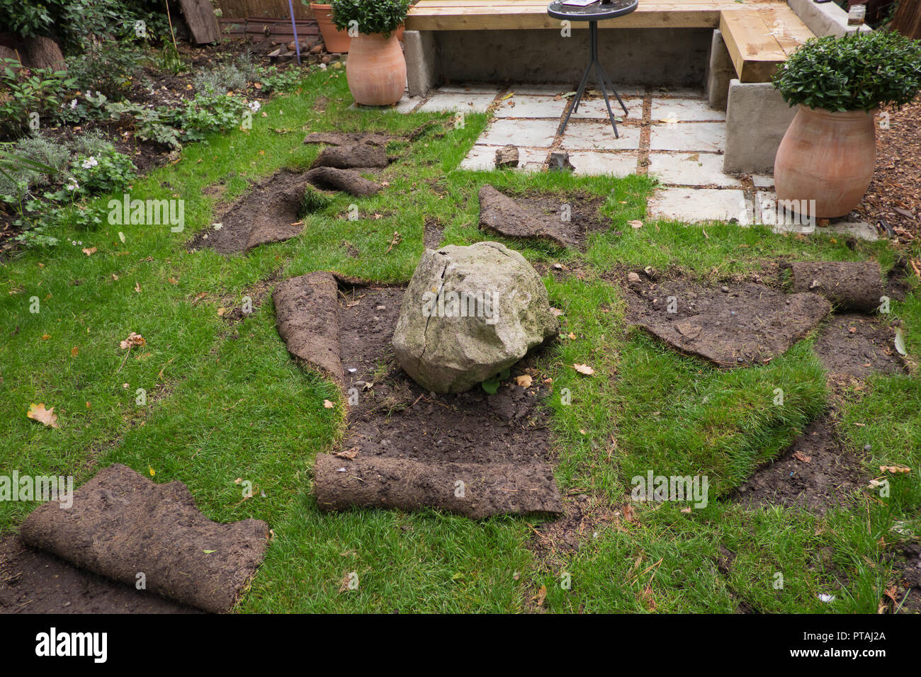 Badger damage lawn hi-res stock photography and images - Alamy