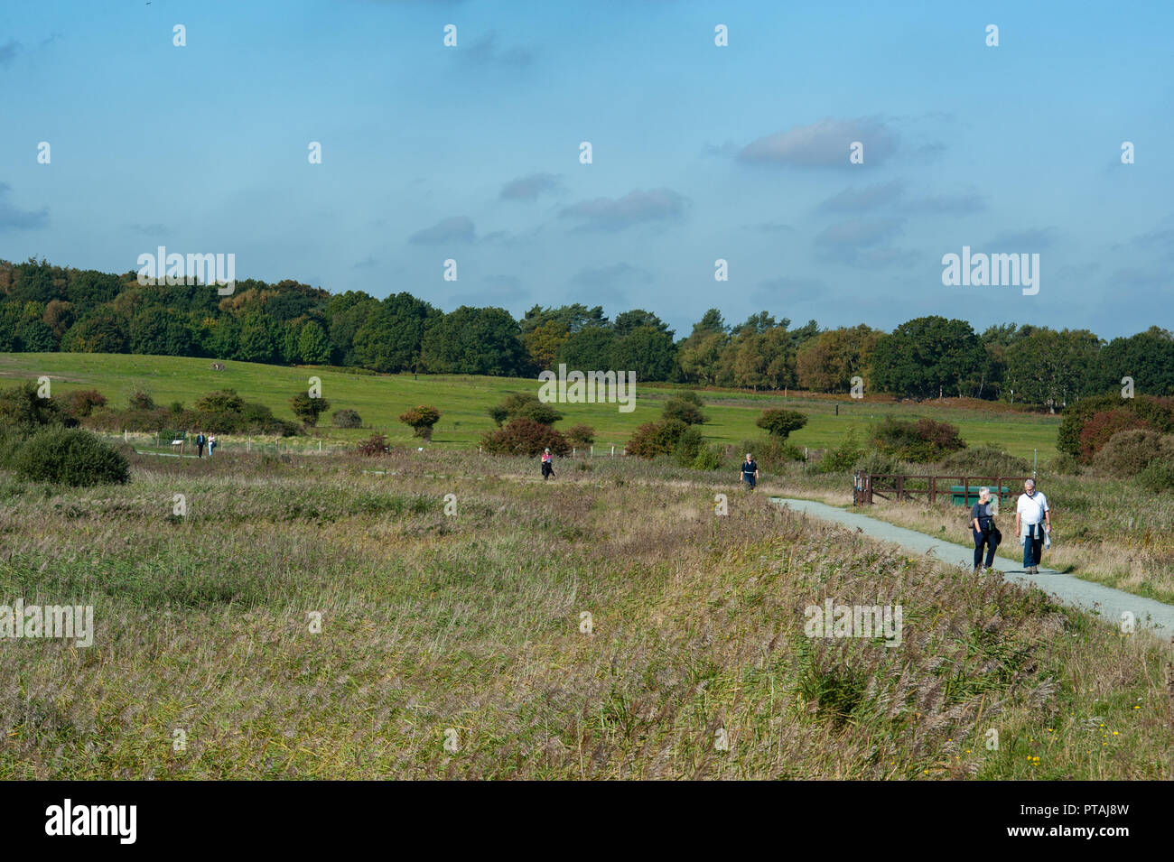 Birdwatchers at RSPB Minsmere, Suffolk, UK walking along the North Wall ...