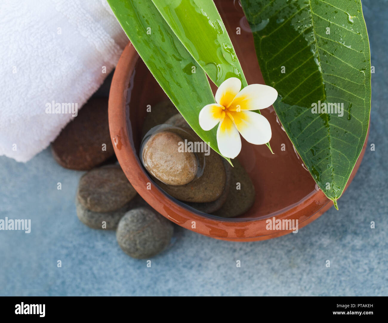 Natural tool for healthy massage on blue table background Stock Photo ...