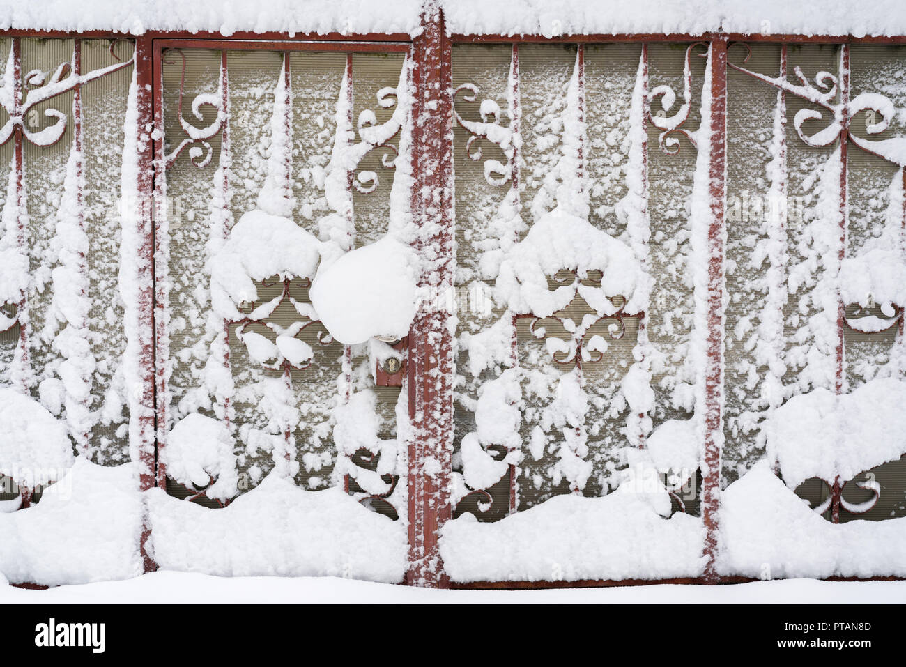 Snow-covered iron gates. winter wrought fence gates Stock Photo - Alamy