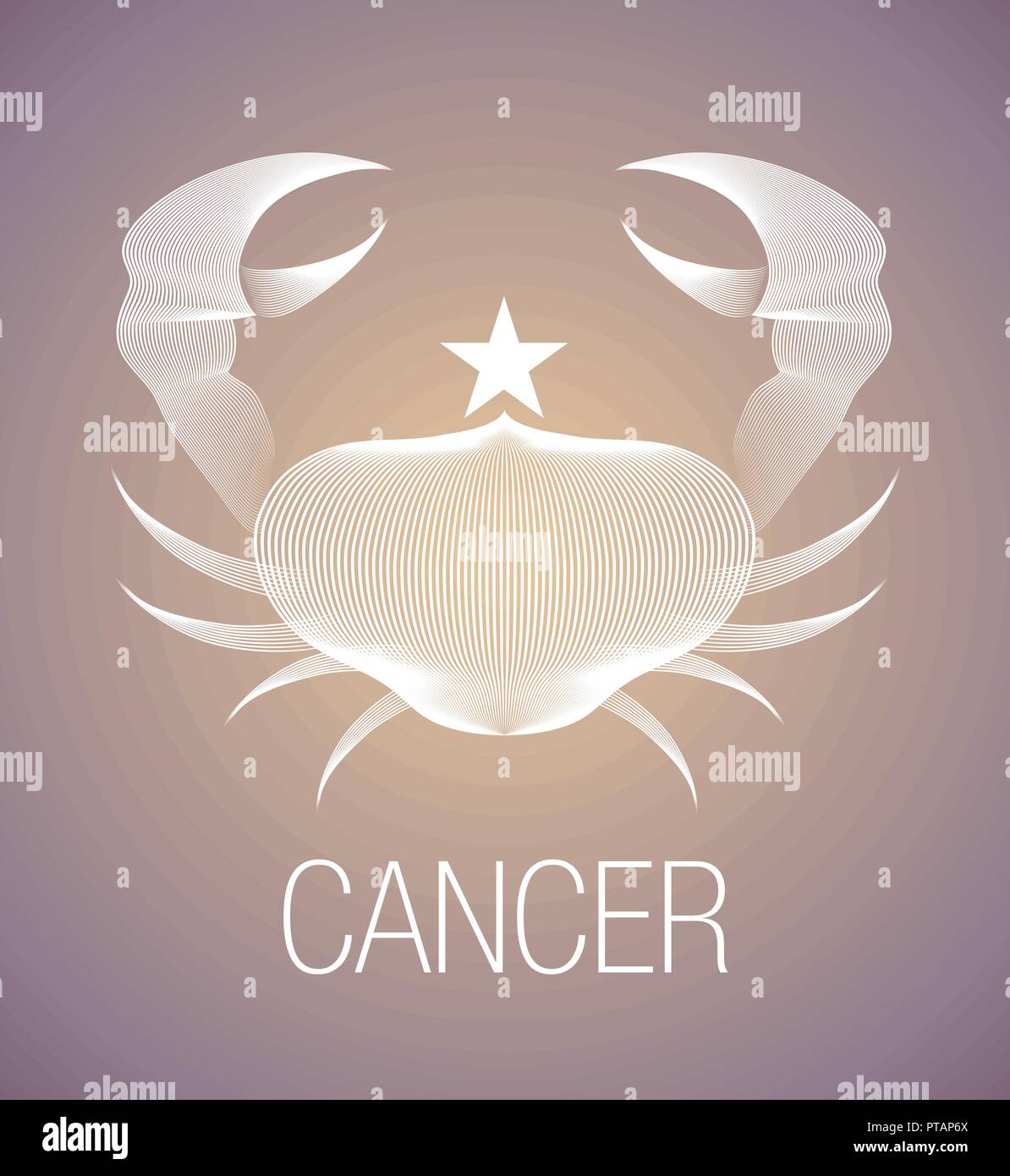Zodiac Sign. Cancer. Vector Illustration Stock Vector Image & Art - Alamy