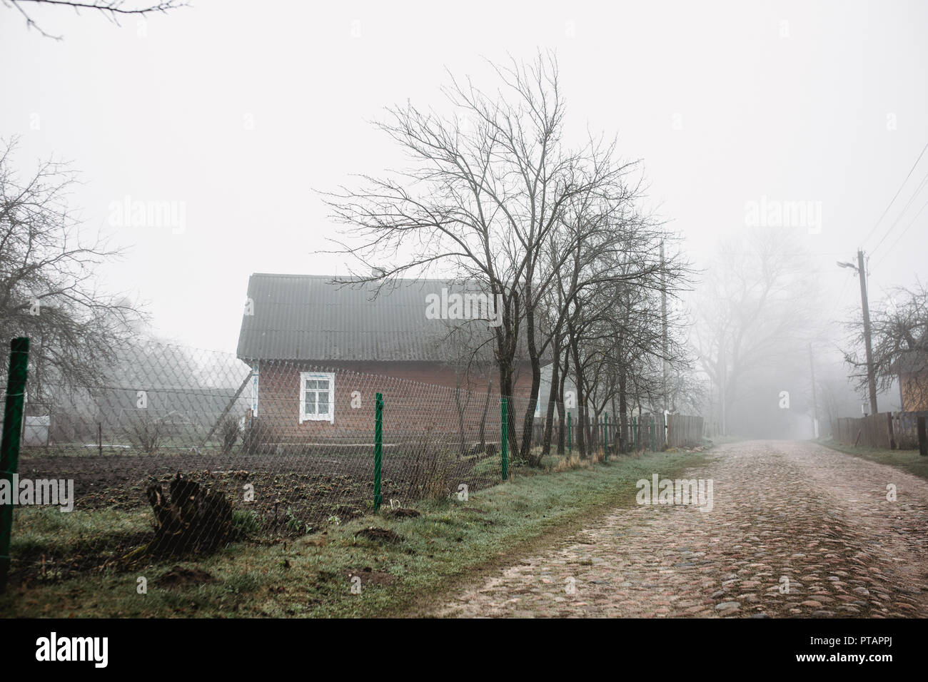 The road goes into the distance. Landscape in village. Mystical view of ...