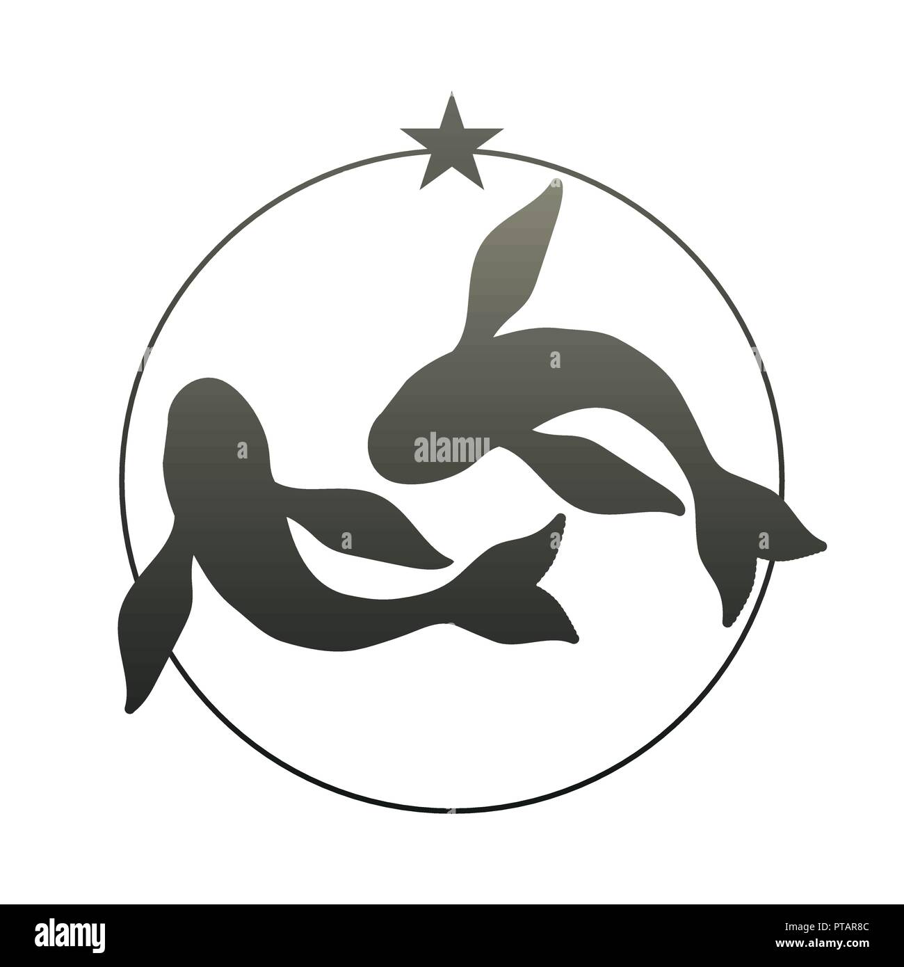 Zodiac Sign. Pisces. Vector Illustration Stock Vector Image & Art - Alamy