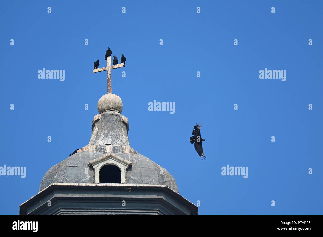 Condor tower hi-res stock photography and images - Alamy