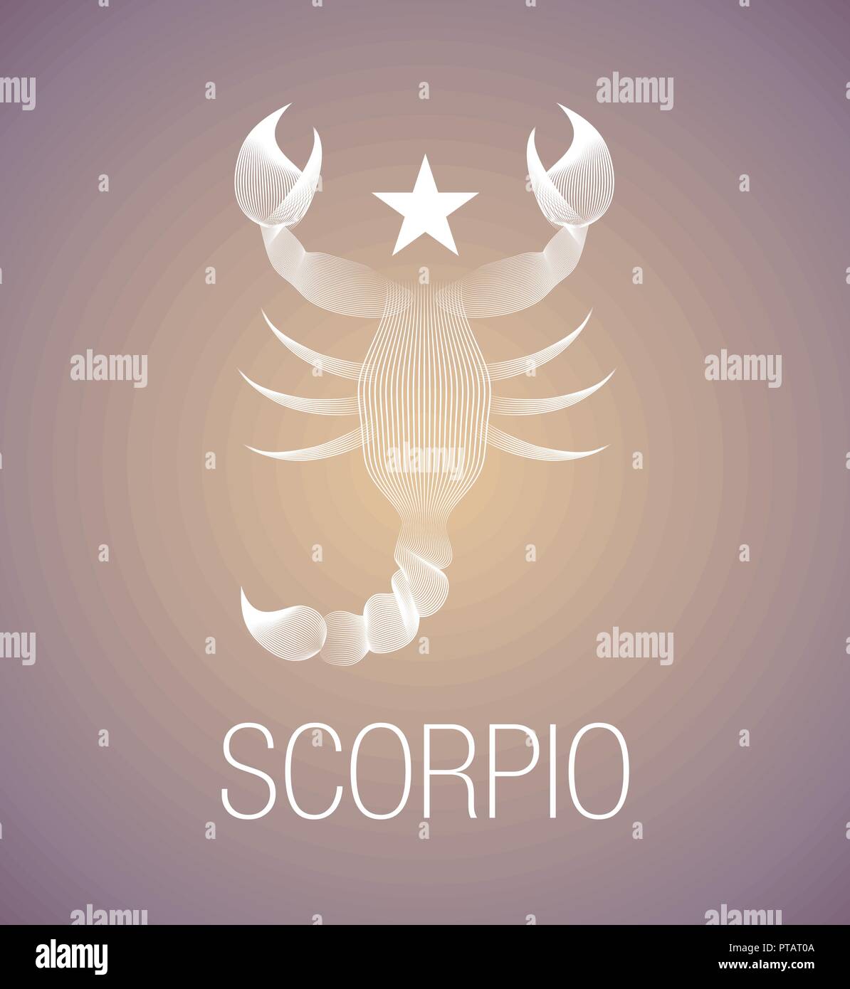 Zodiac Sign. Scorpio. Vector Illustration Stock Vector Image & Art - Alamy