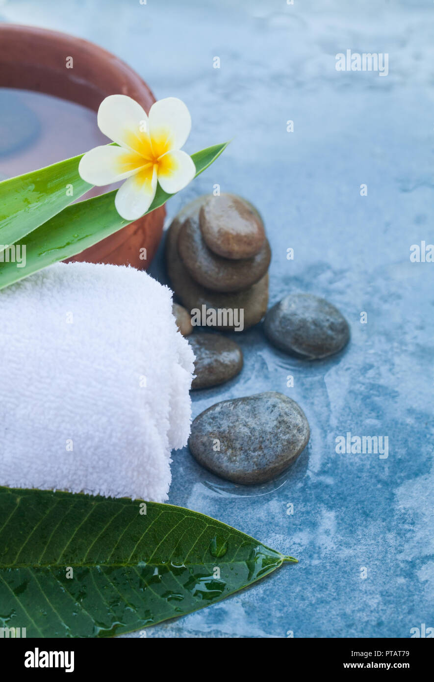 Tropical flower with two leaves and sunlight for spa salon Stock Photo ...