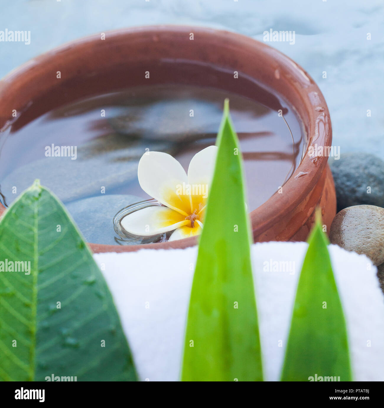 Spa flower and leaves for relax massage treatment on blue background ...